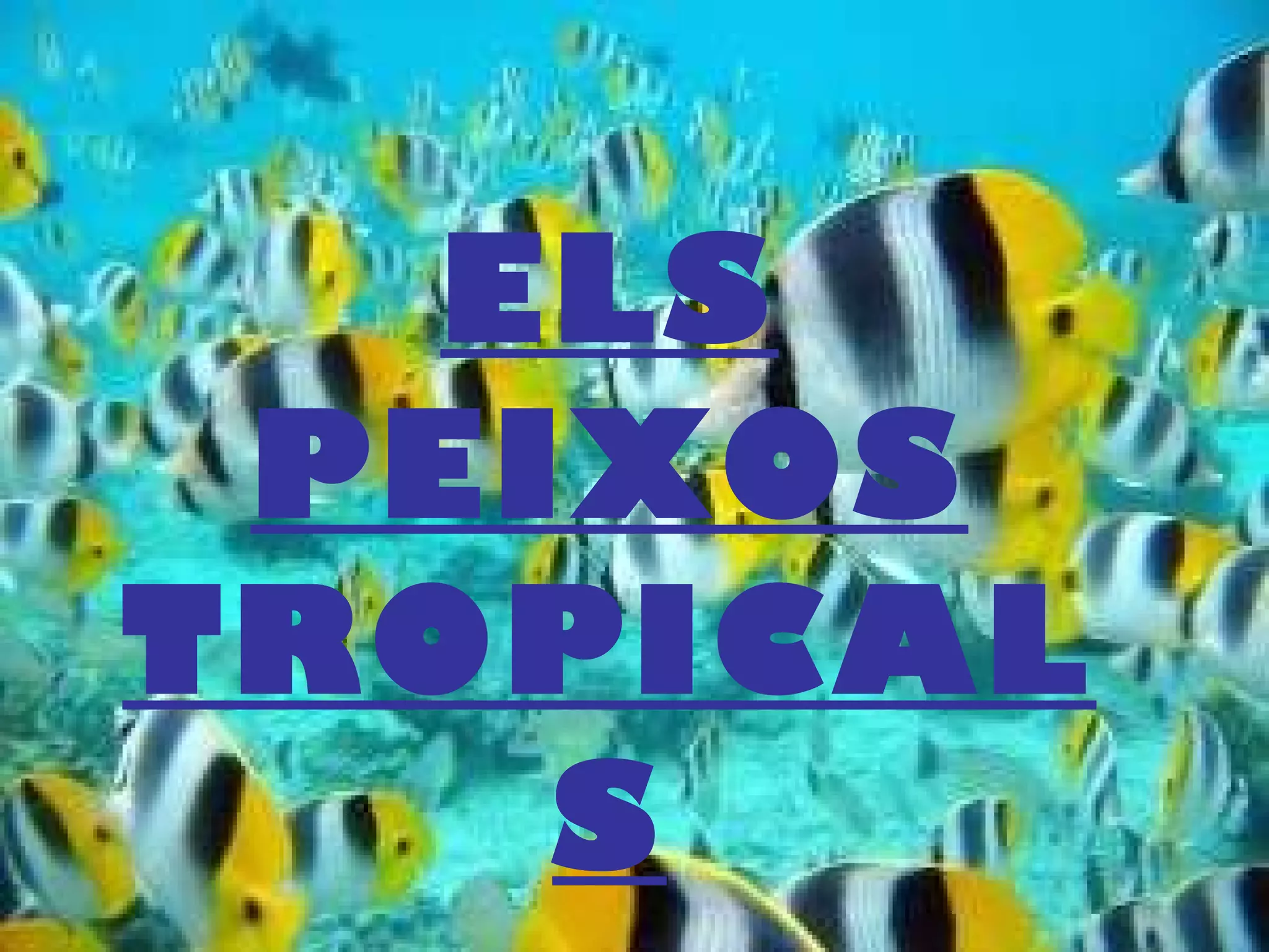 Els peixos tropicals | PPT