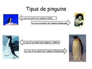 Els pinguins carla amigo | ODP