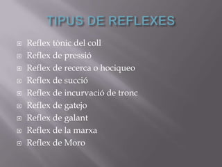 Els Primers Moviments | PPT