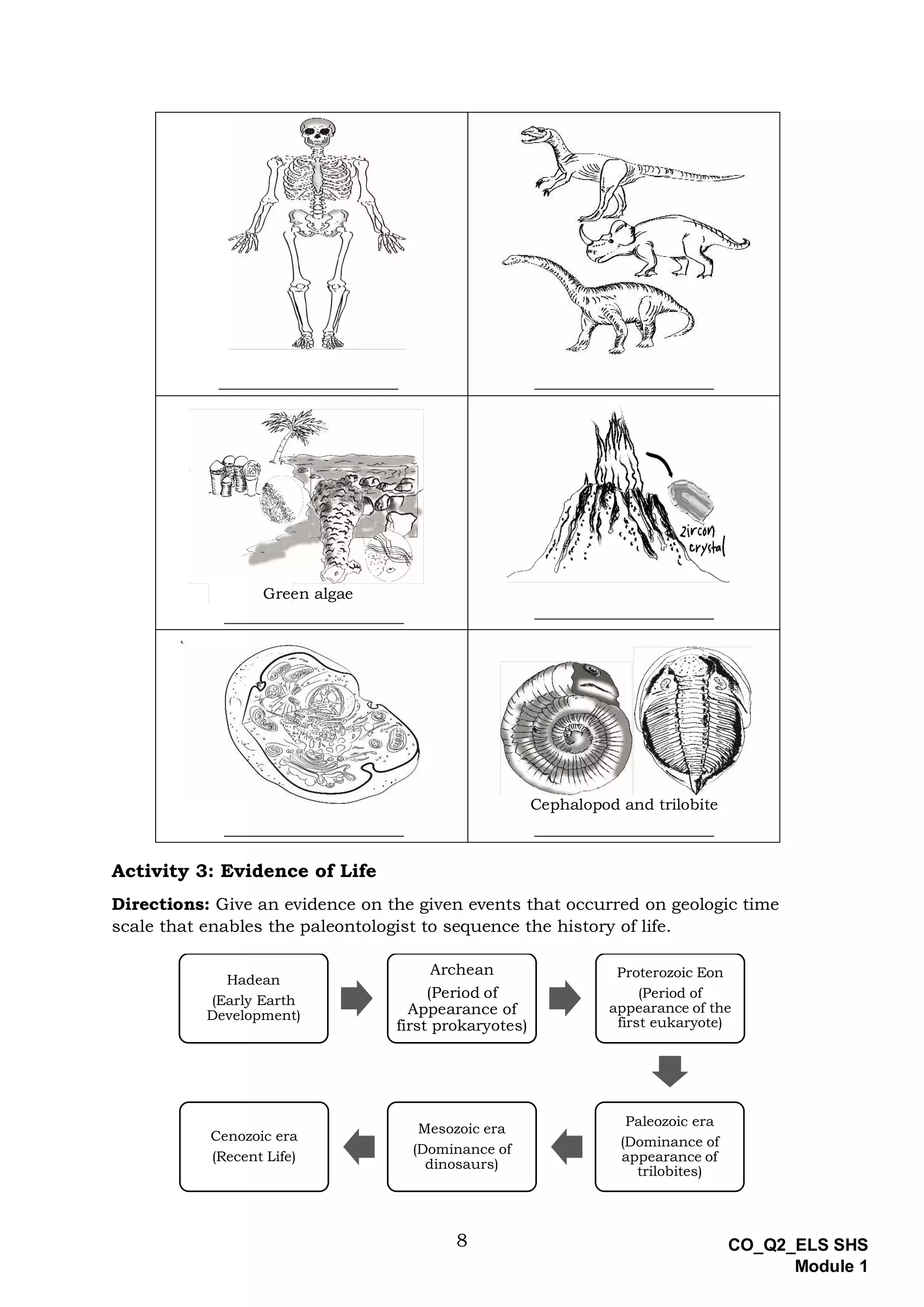 ELS_Q2_Module-1_Evolving-Concept-of-Life-Based-on-Emerging-Pieces-of ...