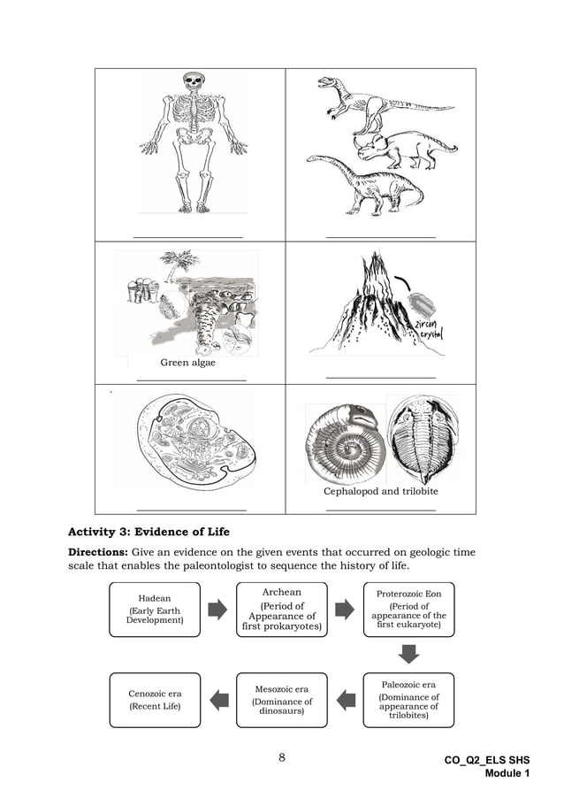 ELS_Q2_Module-1_Evolving-Concept-of-Life-Based-on-Emerging-Pieces-of-Evidence_v2.pdf | Geology ...
