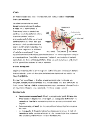 Els receptors sensorials i els òrgans dels sentits | DOCX