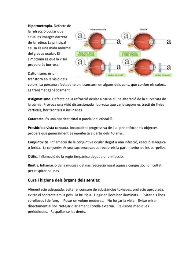Els receptors sensorials i els òrgans dels sentits | DOCX