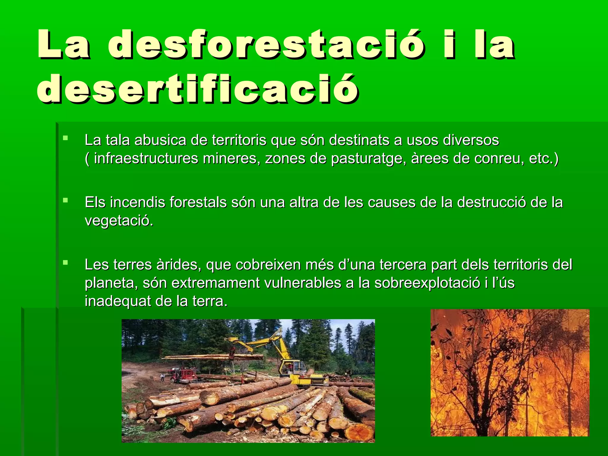 Els recursos naturals i l'ús que en fem | PPT