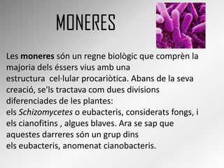 Els regenes animals | PPTX