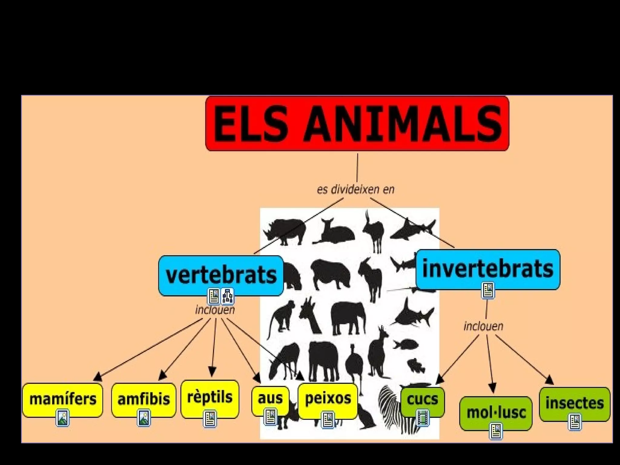 Els reptils | ODP