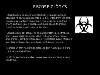 Els riscos | PPT