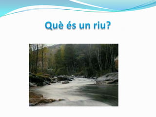 Els rius (1) | PPTX