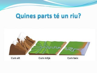 Els rius (1) | PPTX