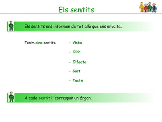 Els sentits | PPT