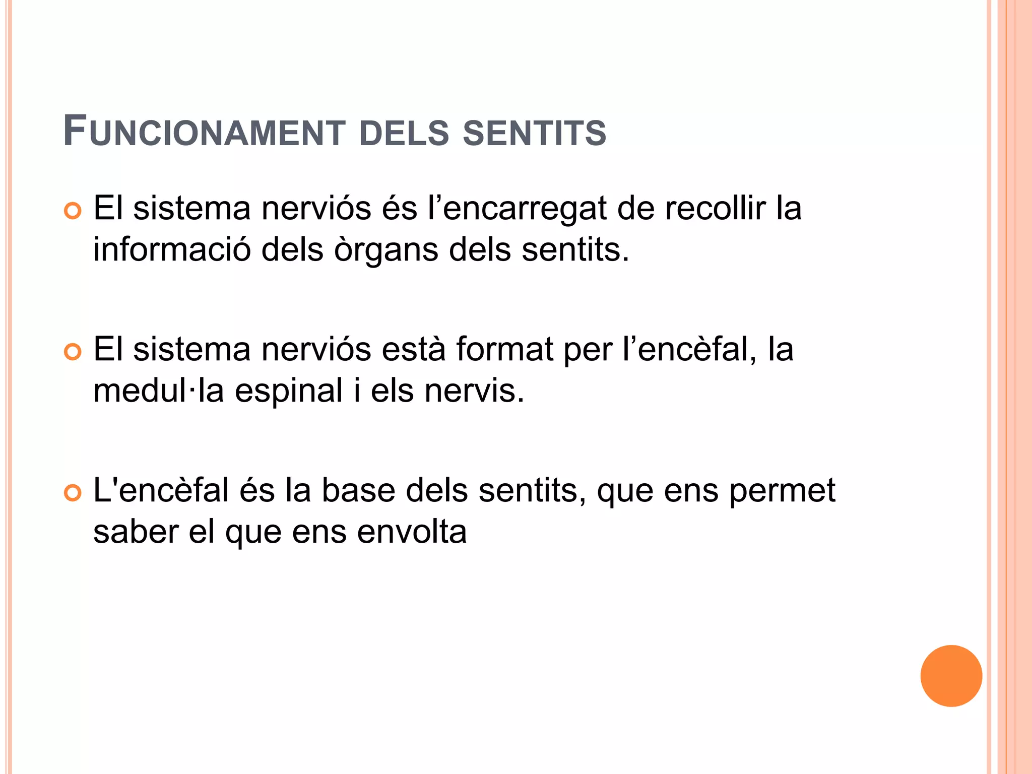 Els sentits | PPT