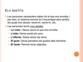 Els sentits | PPTX