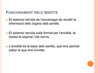 Els sentits | PPTX