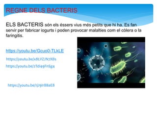 Els éssers vius | PPTX