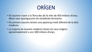 Els taurons 3r | PPTX