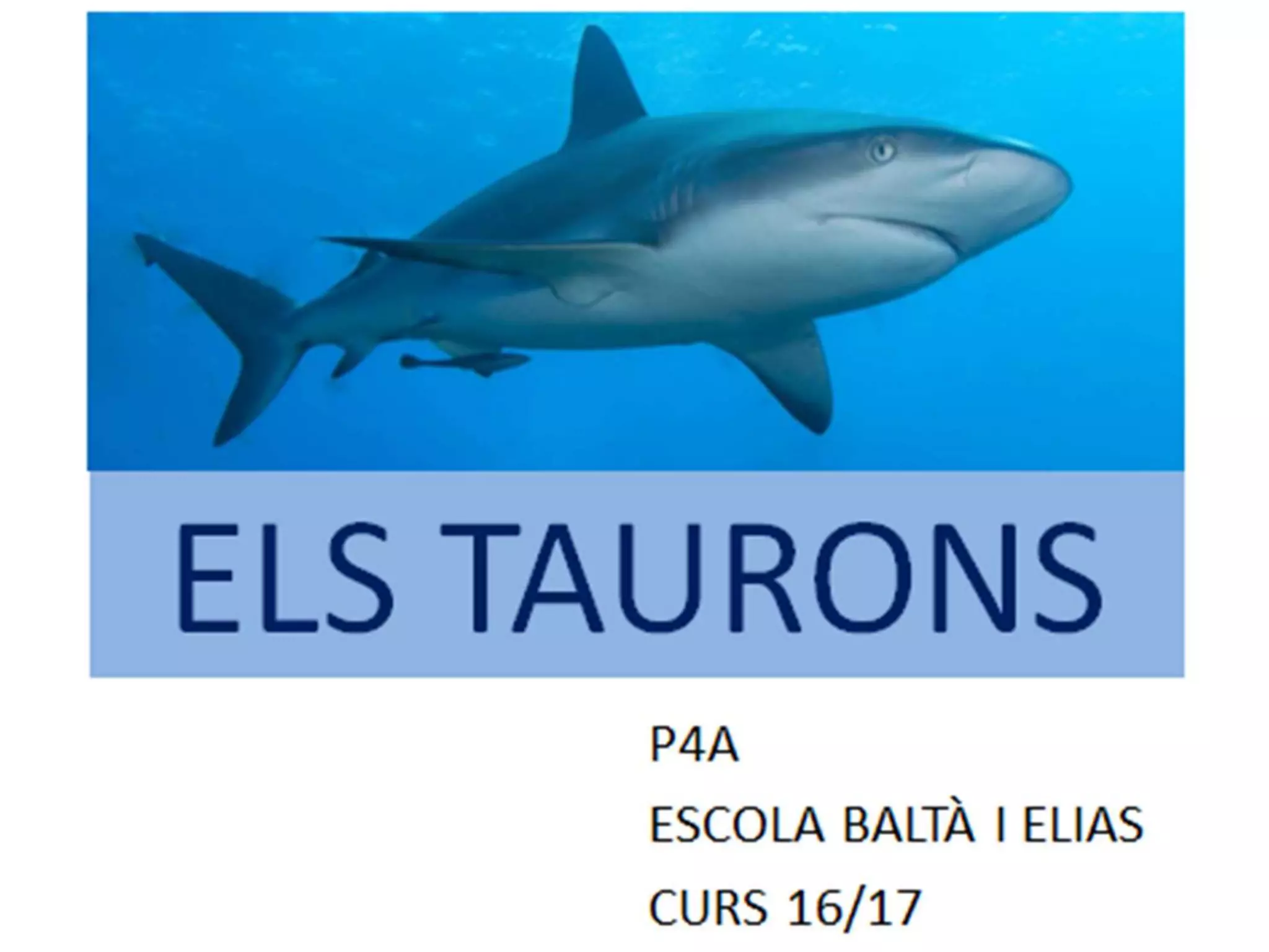 Els taurons | PPT