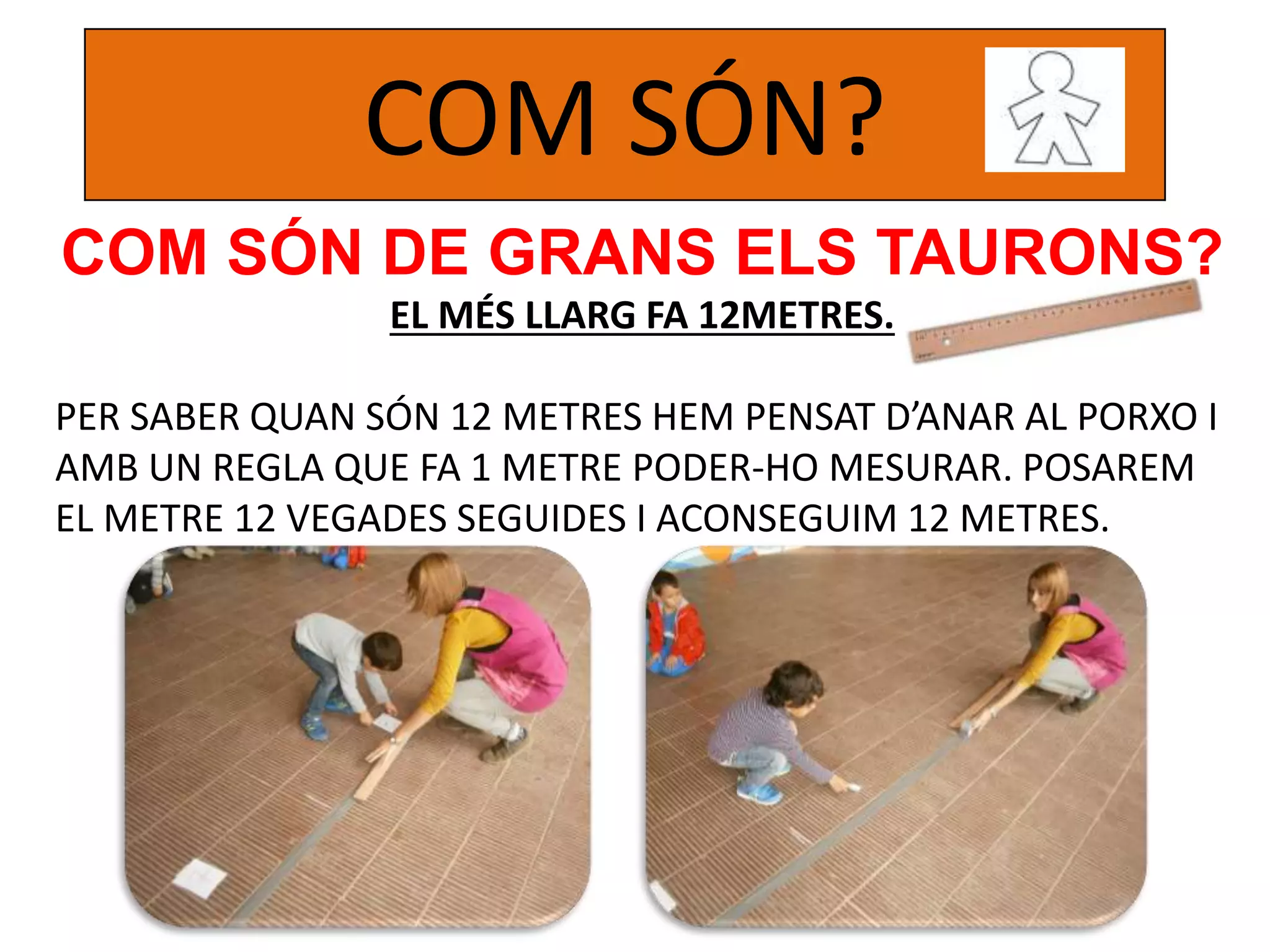 Els taurons | PPTX