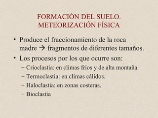 El suelo | PPT