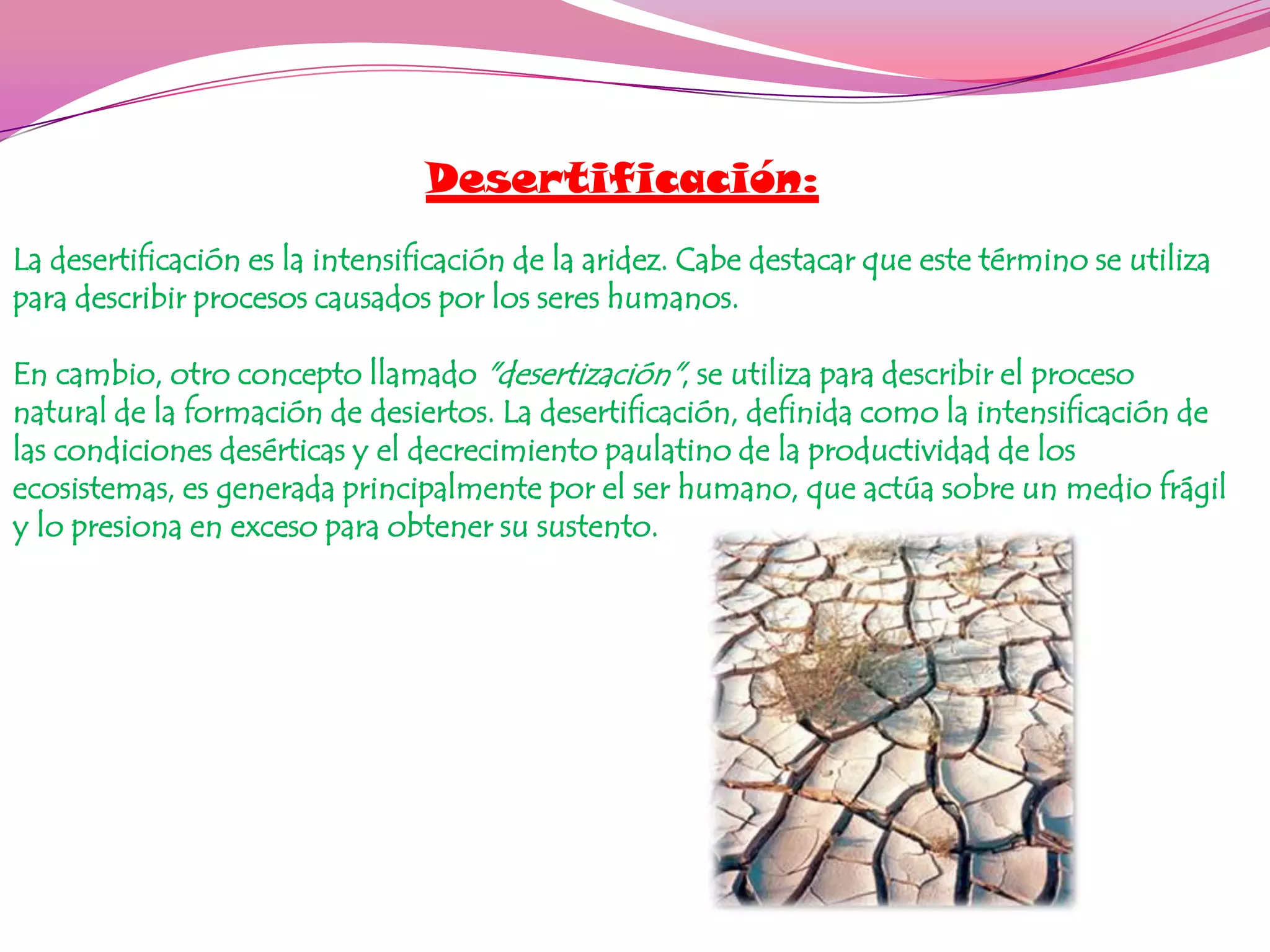 El suelo | PPT