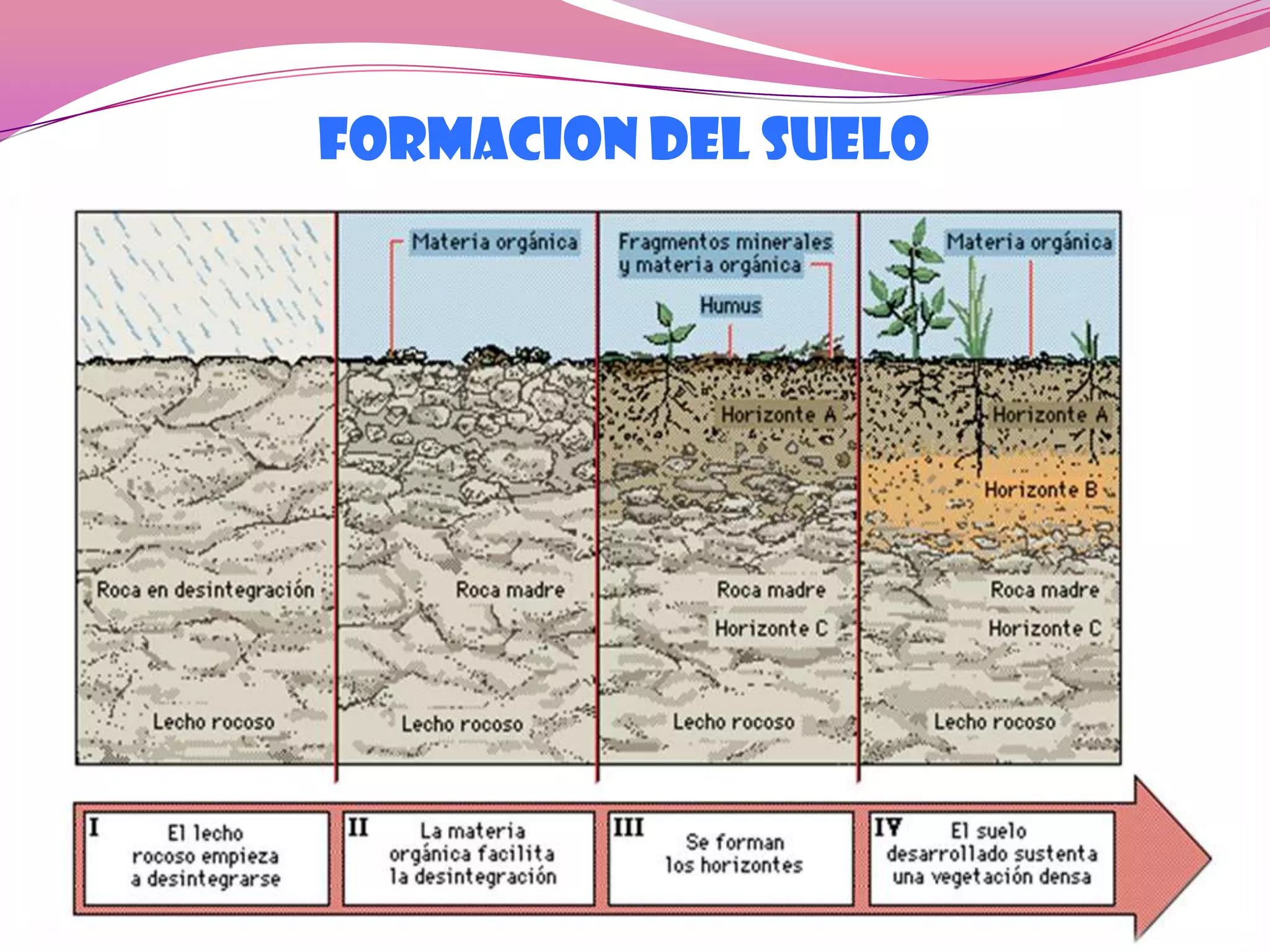 El suelo | PPT