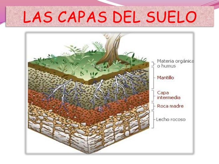 Hoja De Trabajo De Capas Del Suelo Qué Es La Erosión Del Suelo?