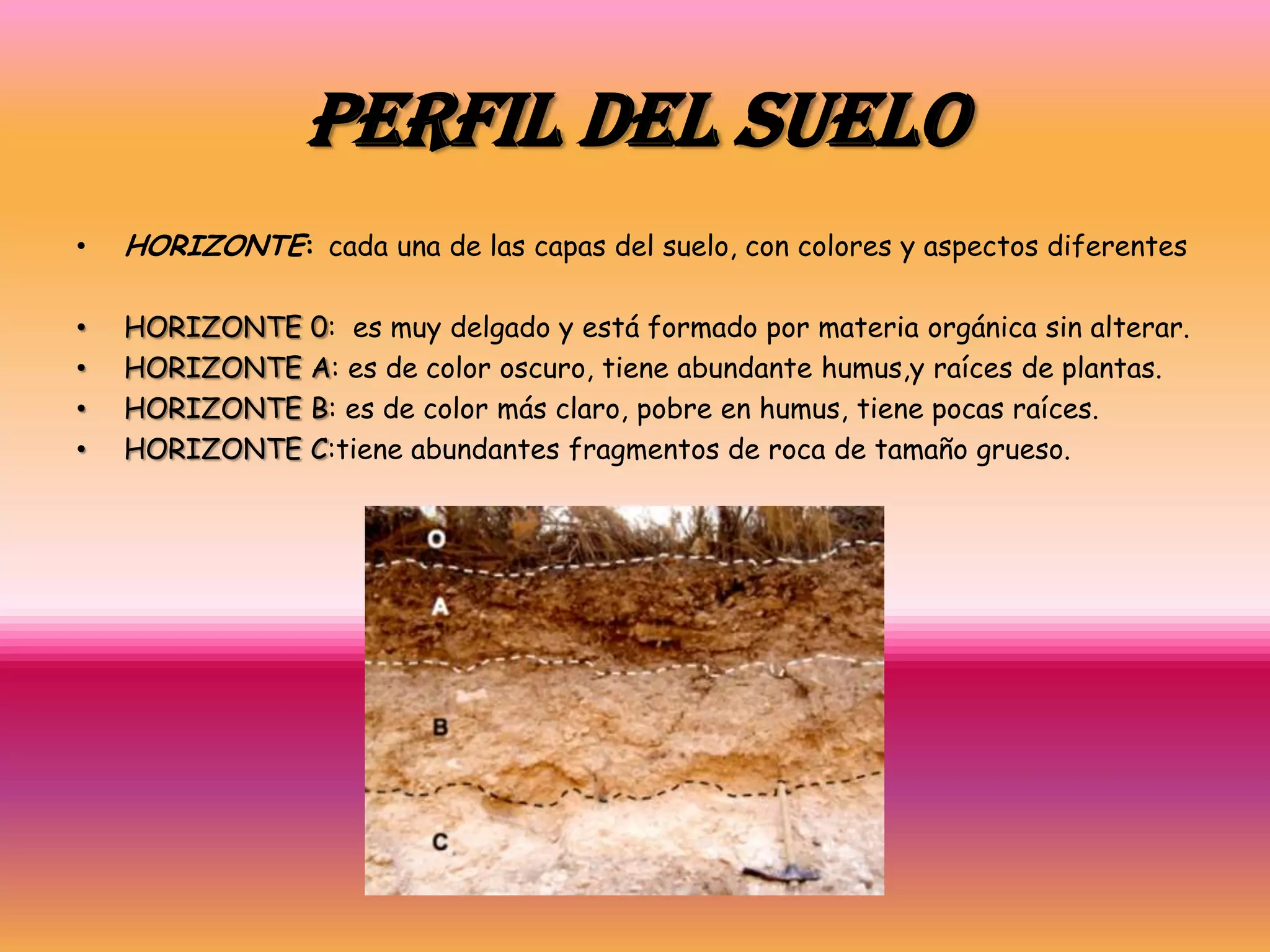 El suelo | PPT | Descarga Gratuita