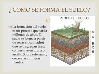 El suelo | PPTX