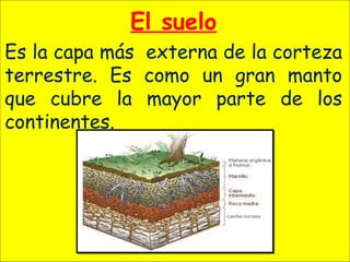 El suelo | PPT