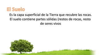 El Suelo (Rocas y Minerales) | PPTX