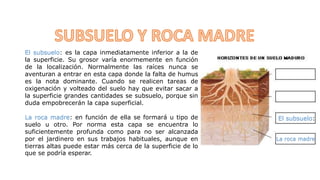 El Suelo (Rocas y Minerales) | PPTX