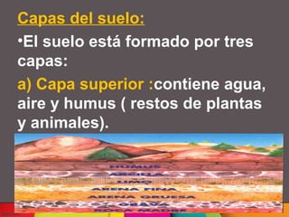 El suelo | PPT
