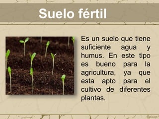 El suelo | PPTX