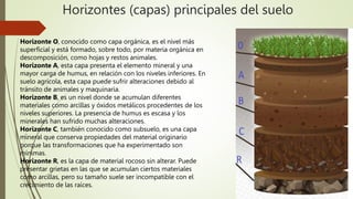 el suelo y sus partes | PPTX