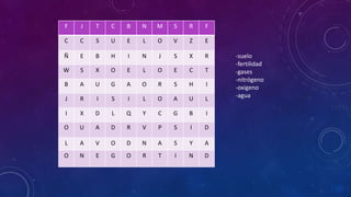 El suelo (sopa de letras) | PPT