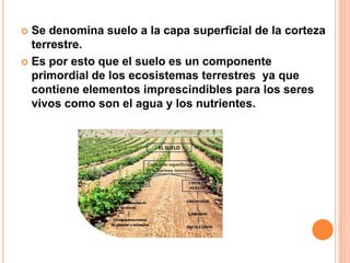 El suelo y sus irregularidades | PPTX
