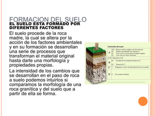 El suelo y sus irregularidades | PPTX