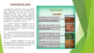 El suelo y sus irregularidades | PPTX