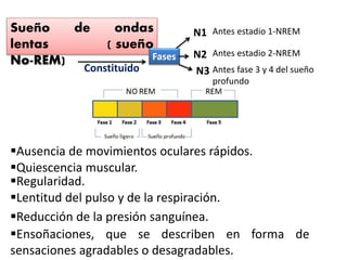 Elsueñotarea4 fisiologia | PPTX