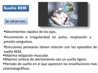 Elsueñotarea4 fisiologia | PPTX