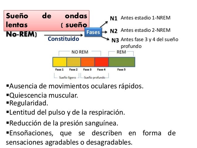 Elsueñotarea4 fisiologia