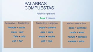 Ejemplos De Sustantivos Compuestos