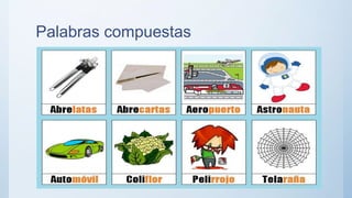 Ejemplos De Sustantivos Compuestos