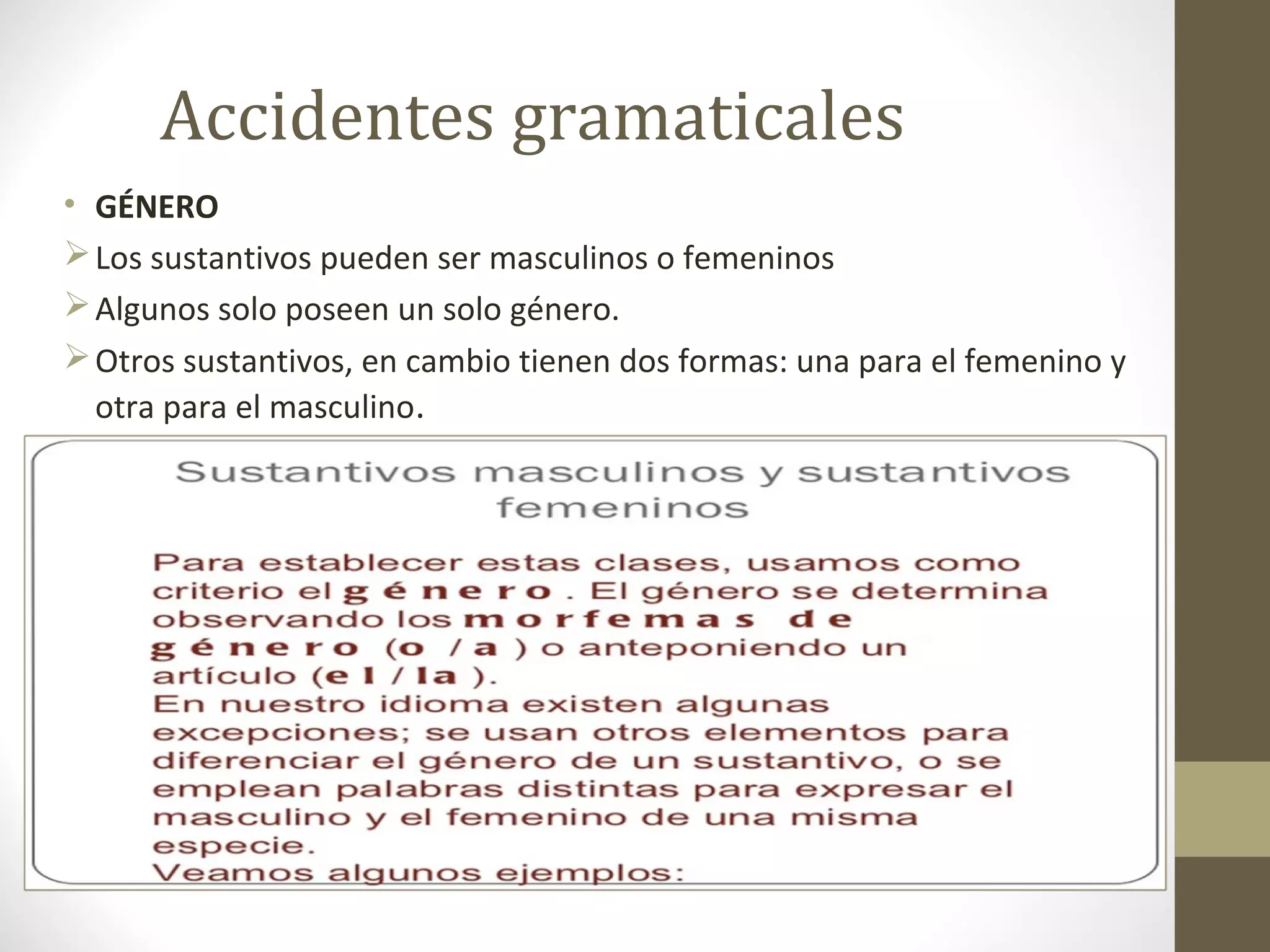 El sustantivo para CUARTO año | PPT