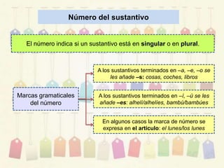 El sustantivo y sus clases | PPSX | Books and Literature