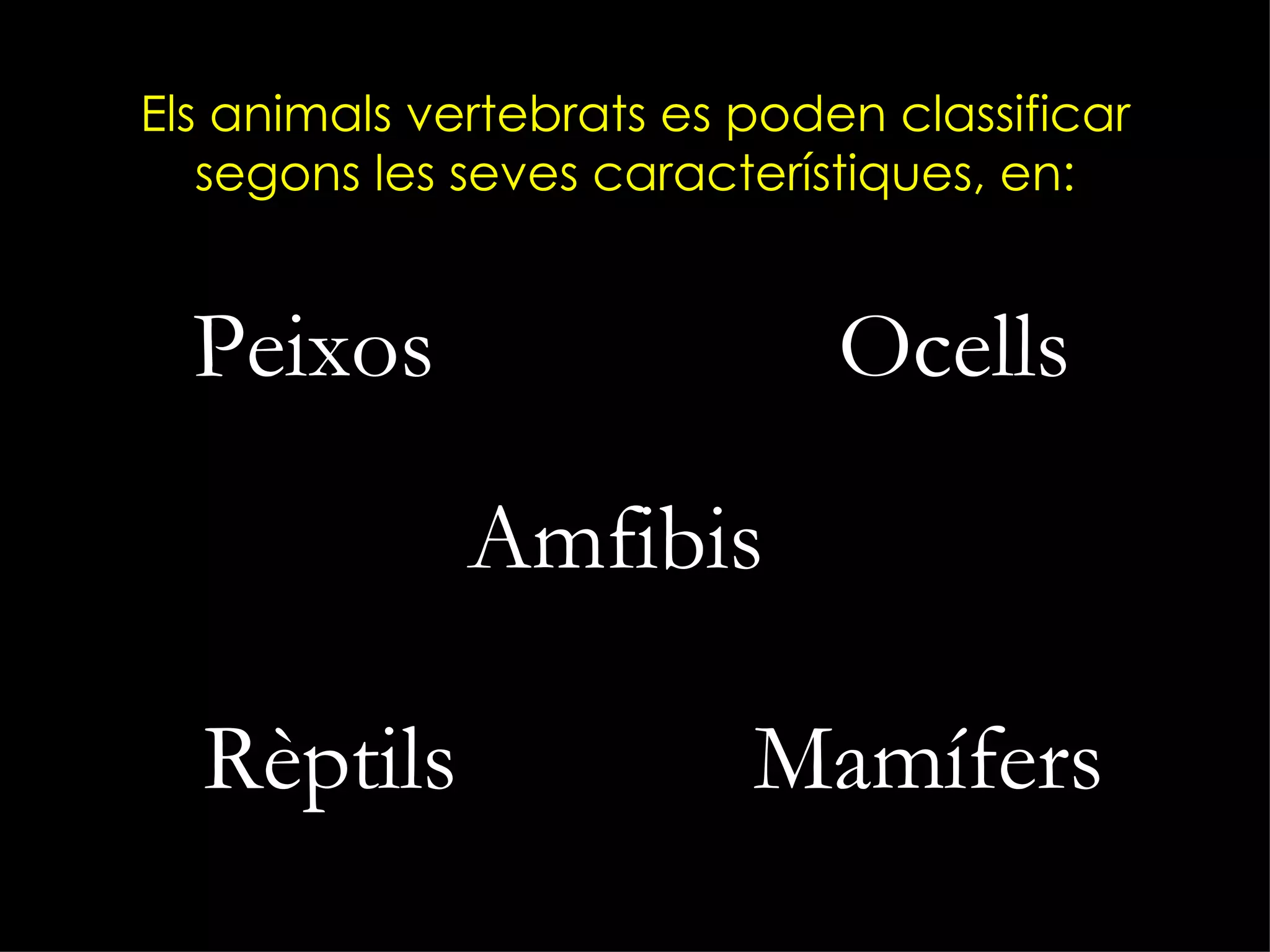 Els Vertebrats | PPT