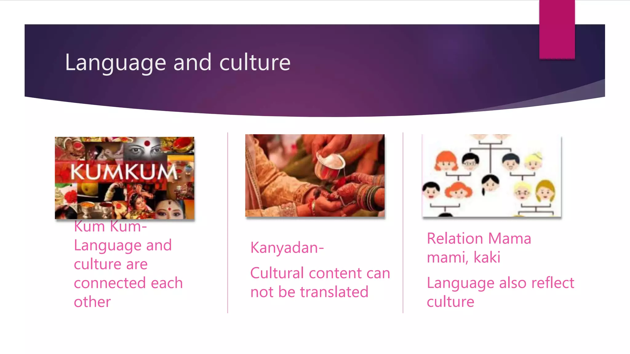 Socio culture dimensions of English language | PPTX