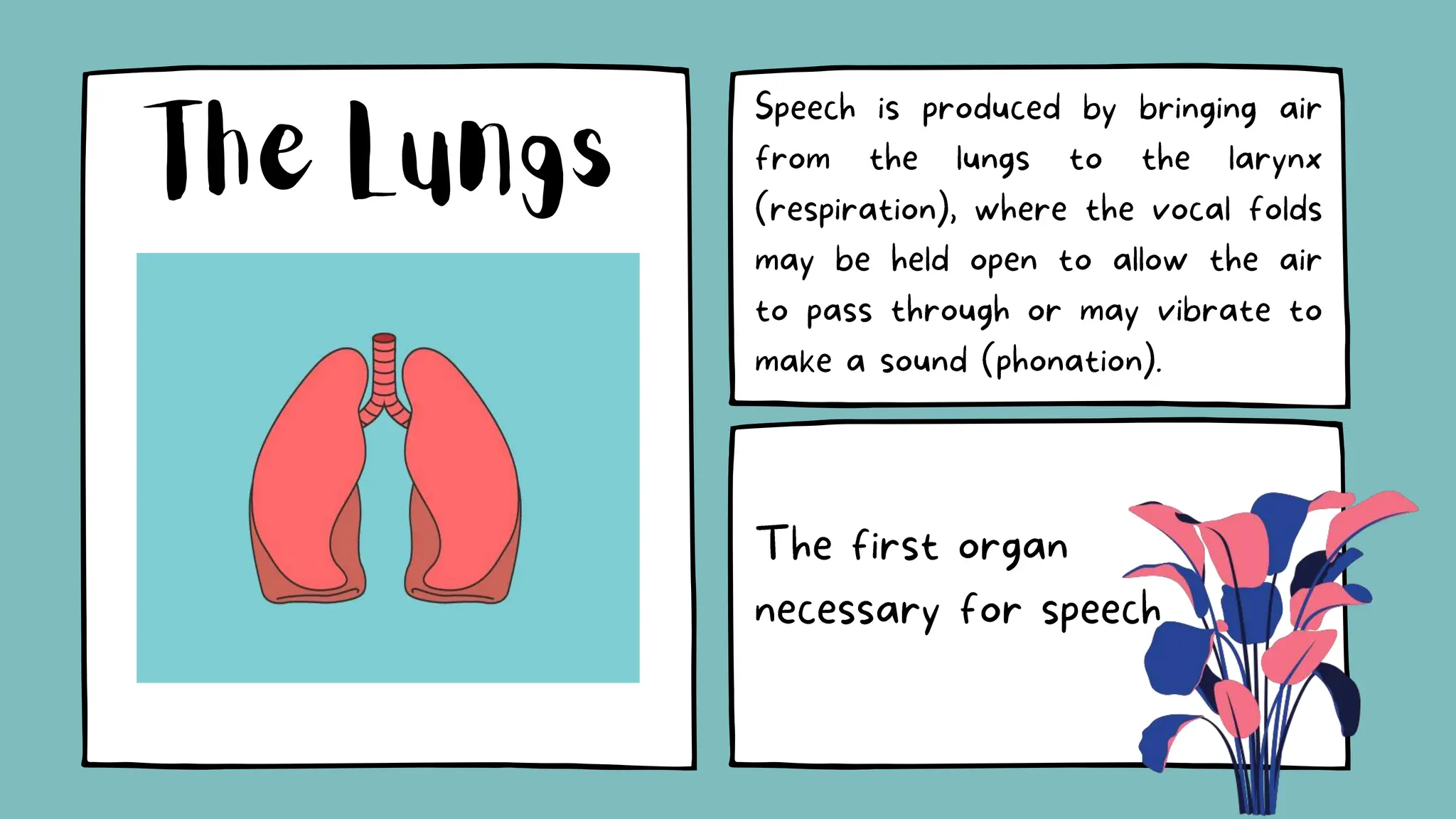 ELT 7 - WEEK 2 - ORGANS OF SPEECH - COMMUNICATION PROCESS.pptx