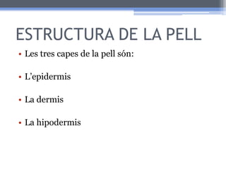Pwp del tacte | PPTX