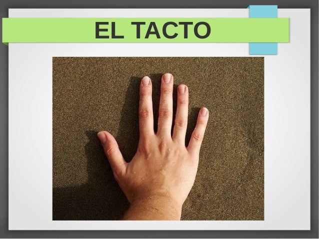 El tacto