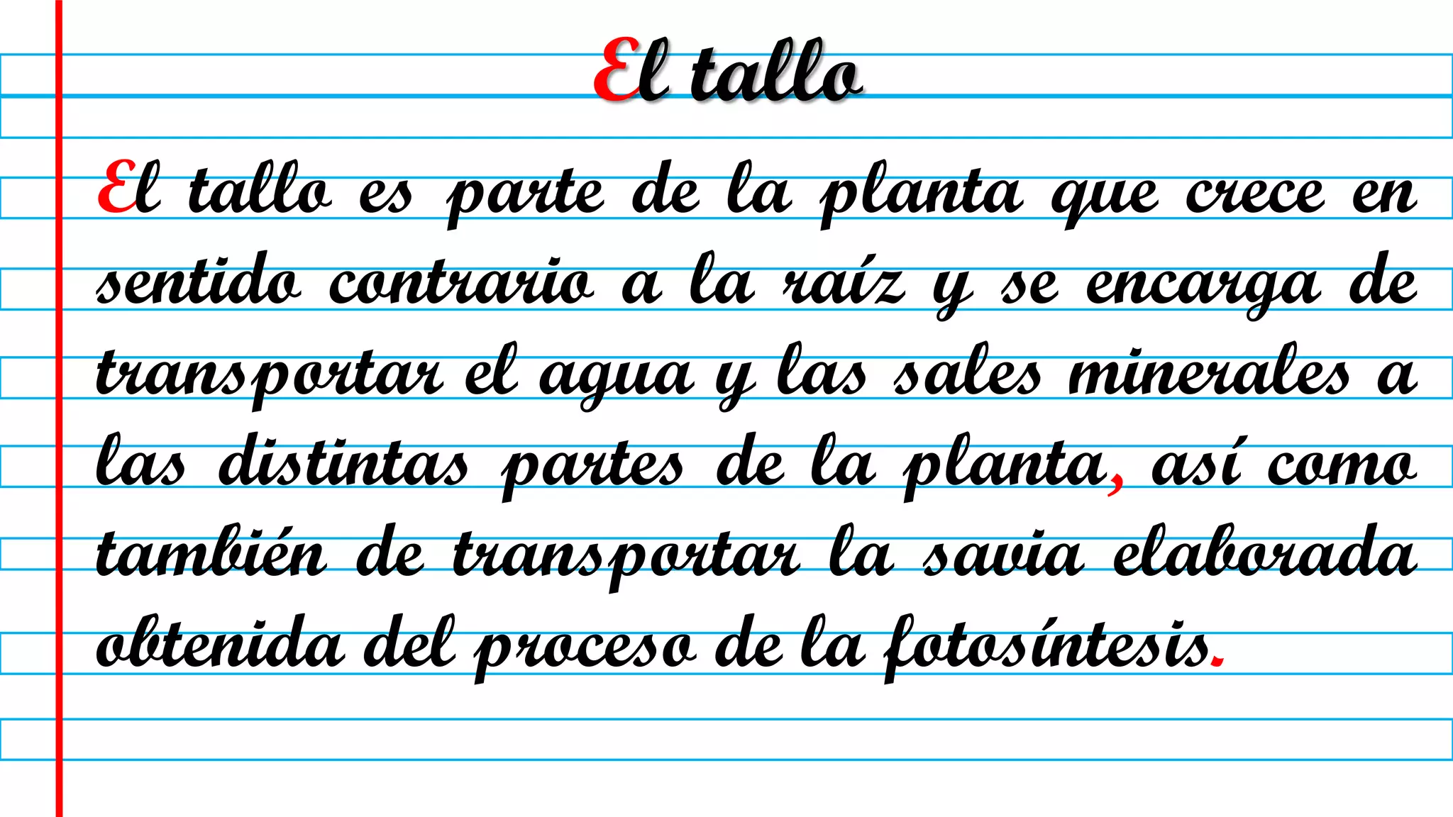 el tallo.pdf